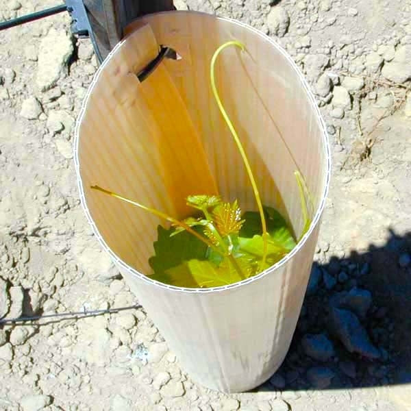 Vine Grow Tubes | Plantra Grow Tubes - Double A Vineyards.